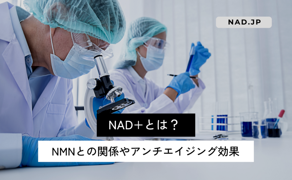 NAD+とは？NMNとの関係やアンチエイジング効果について解説 | NAD.JP