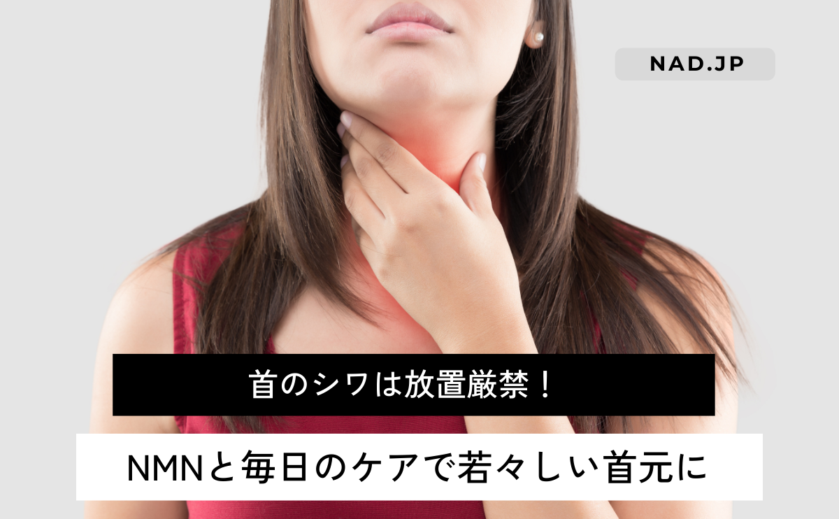 NMNサプリはどれがいい？おすすめ製品6選と正しい選び方を紹介 | NAD.JP